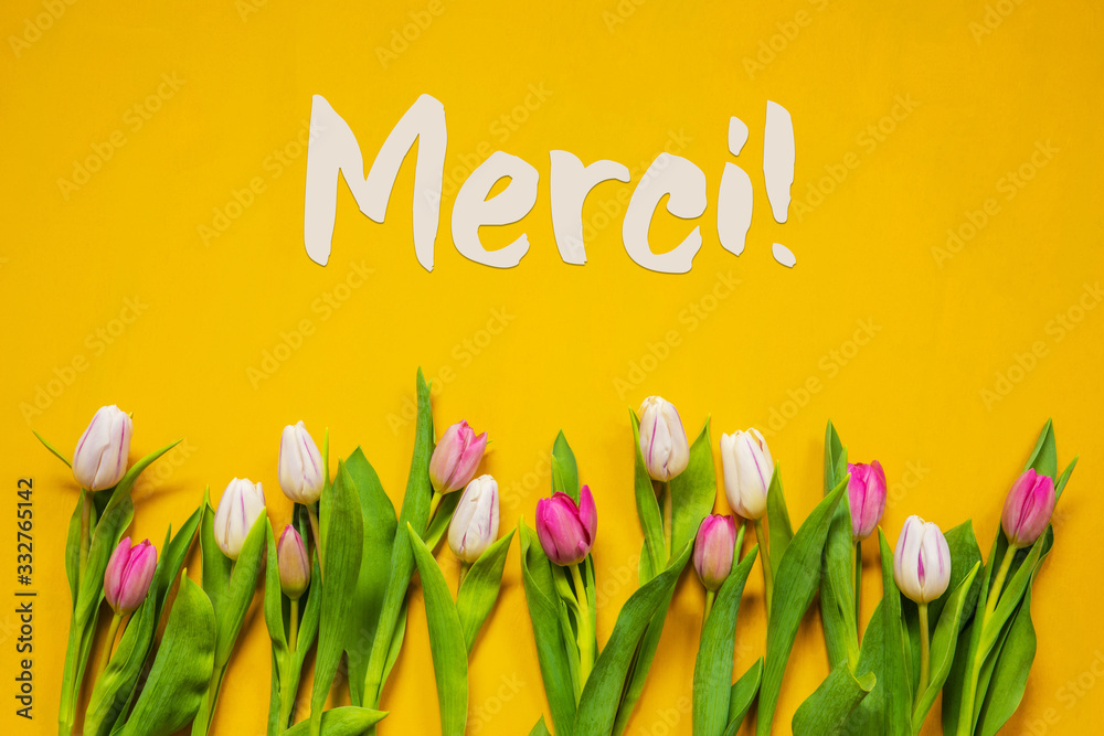 French Text Merci Means Thank You. White And Pink Tulip Spring Flowers ...