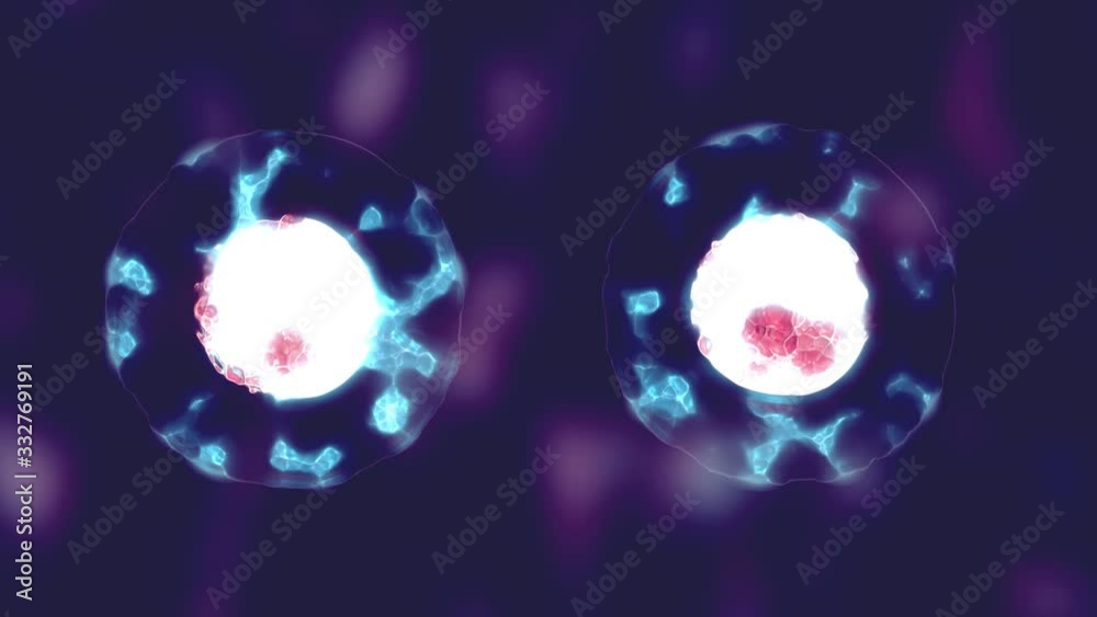 3d Animation of cells dividing ,under the microscope . Stock Video ...