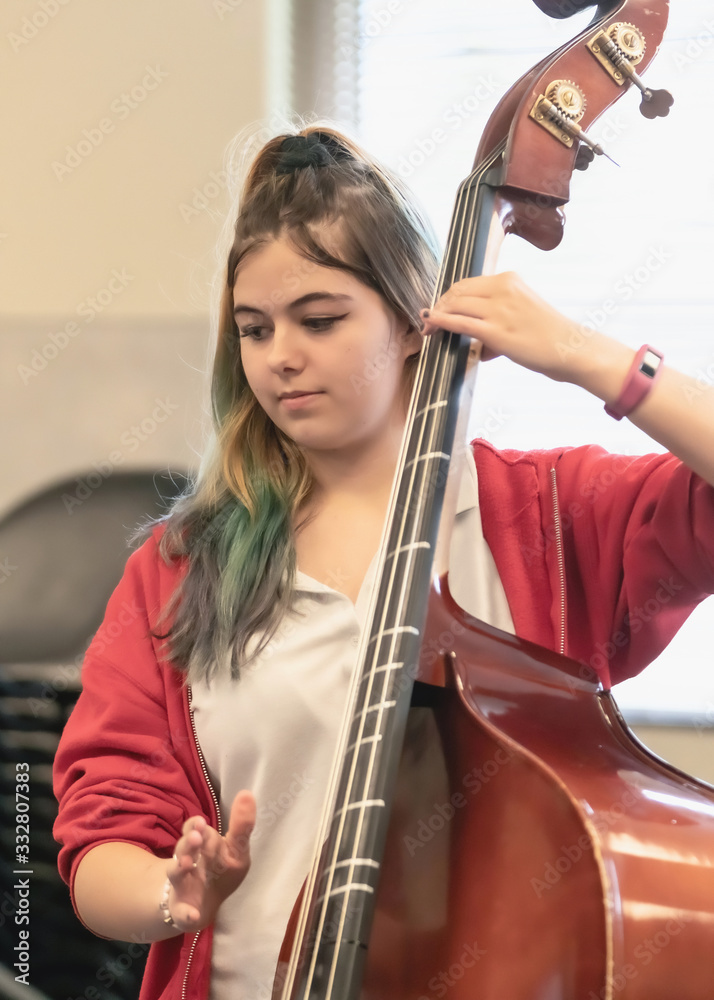 Teenage girl playing double bass in classroom Stock Photo | Adobe Stock