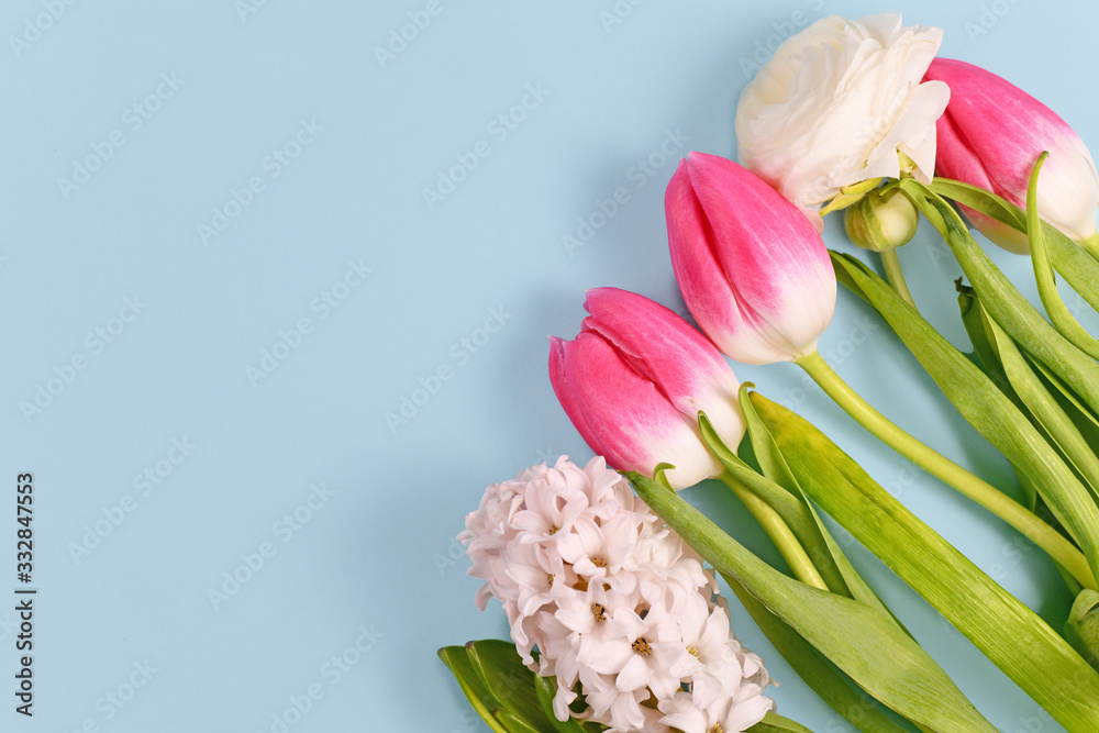 Pink and white blooming spring flowers like Buttercup, Tulip and ...