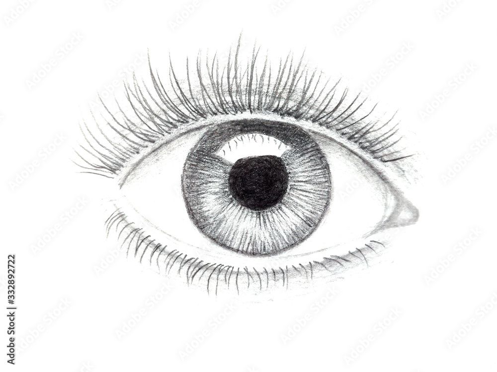 Illustration of human eye drawn with pencil. One eye closeup on white ...