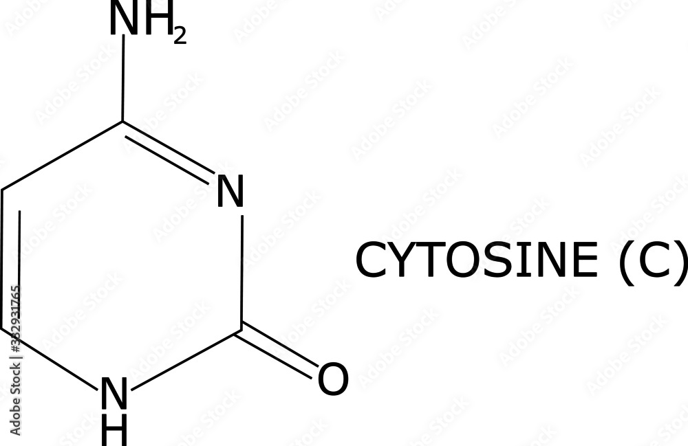 Citosine molecular structure isolated on white background, with its ...