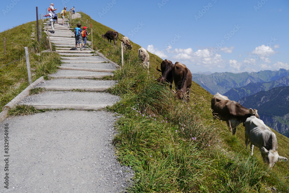 Allgäu Alpen Wanderwege und Berge Stock Photo | Adobe Stock