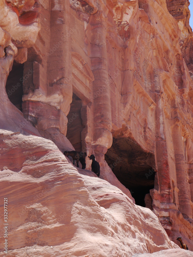 side view of the Royal Tombs of Petra with two playing goats, UNESCO ...
