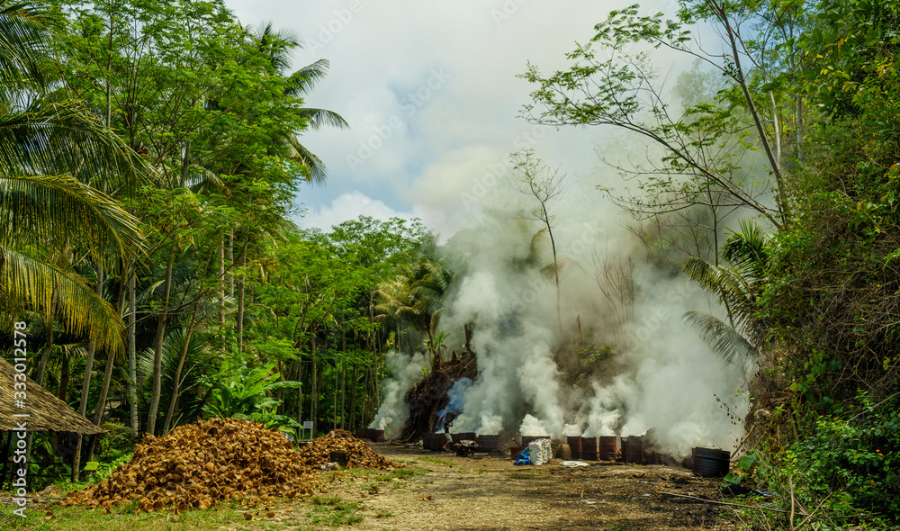 Local farmers burning loads of dried coconut shells in barrels. Massive ...