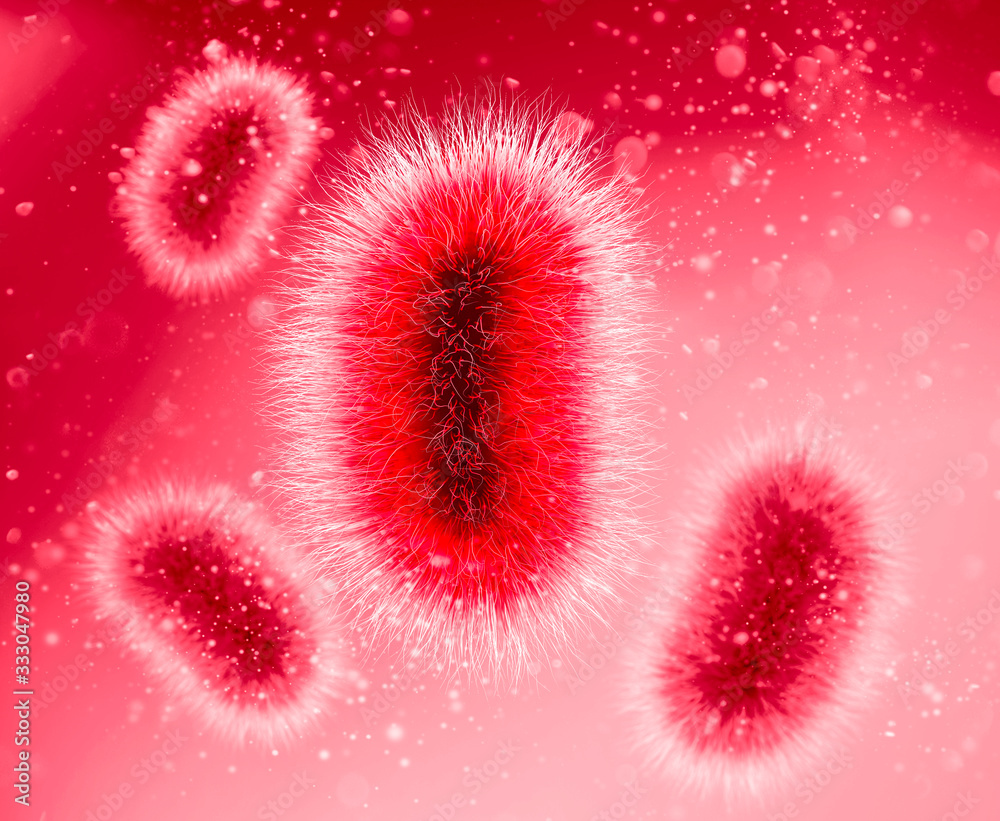 Bacteria are a type of biological cell. Micro organisms, duplication ...