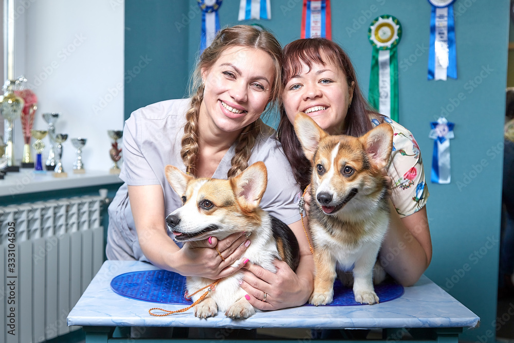 Professional vet funny female doctor and woman who is owner of small ...