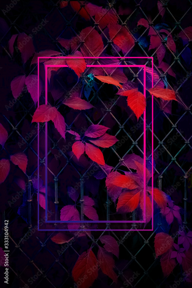 Autumn leaves layout. Fluorescent light template with glowing neon ...