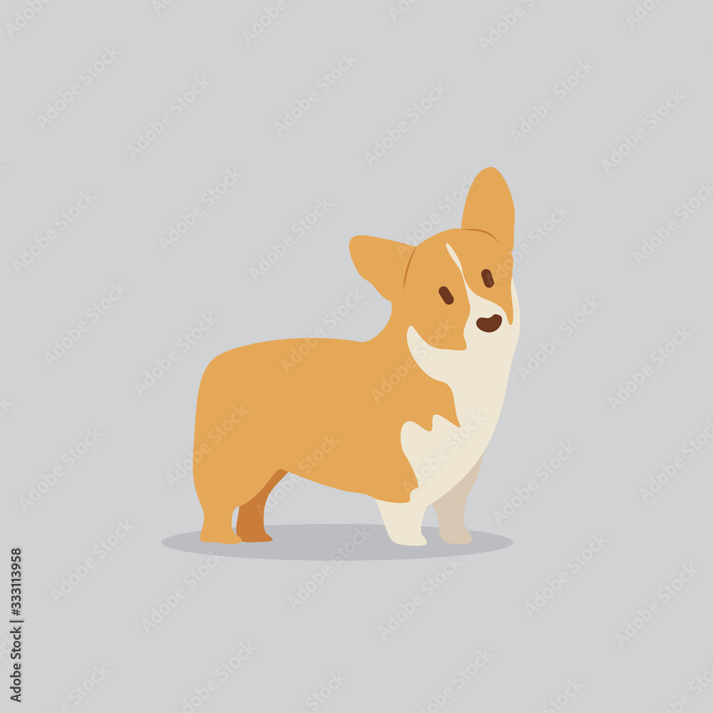 Corgi dog vector cartoon illustration. Cute friendly welsh corgi puppy ...