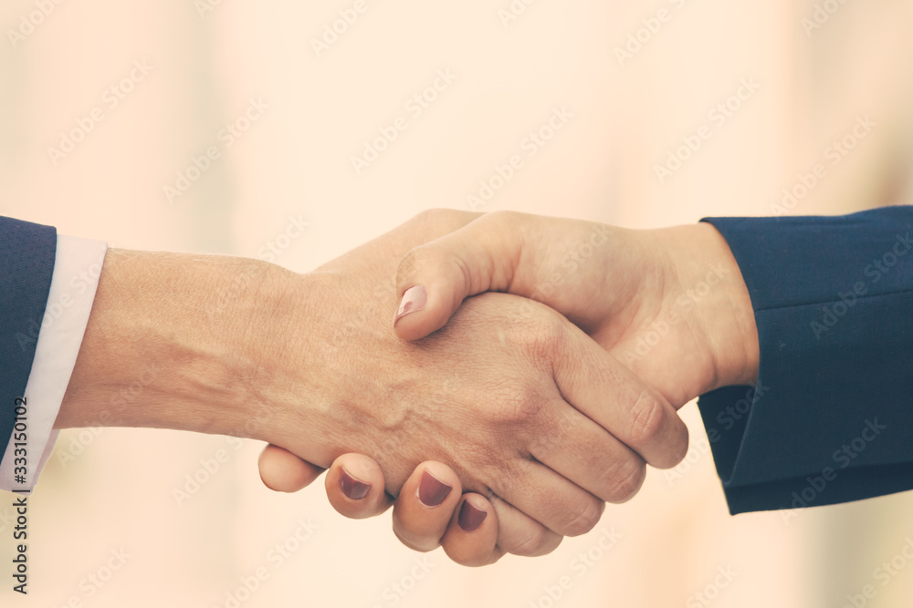 Business Handshake Women