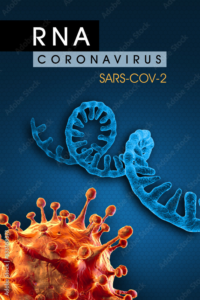 2020 coronavirus pandemic. Single RNA strand. Microscopic view of a ...