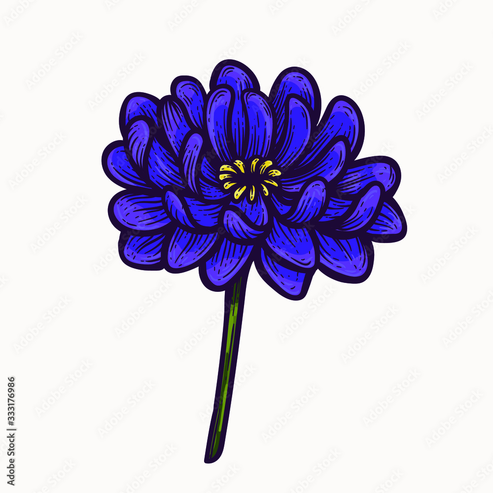 blue spring flowers hand drawn isolated colorful vector clipart. plant ...