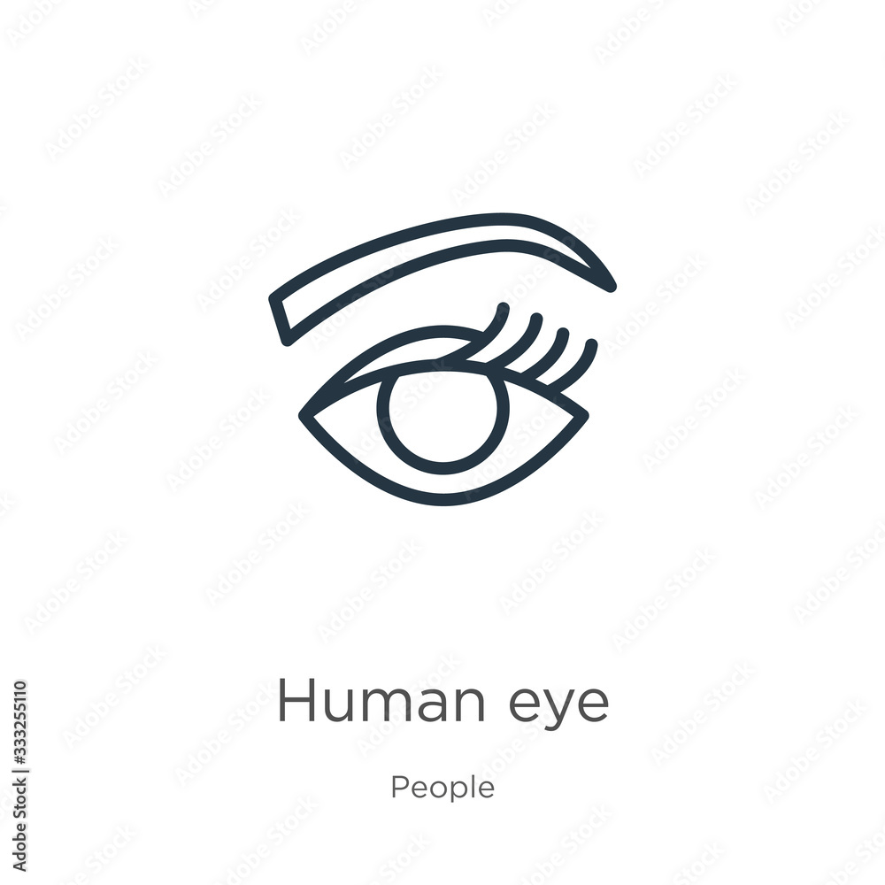 Human Eyes Outline