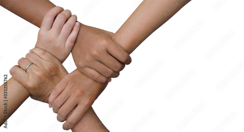 Human join hands together isolated on white background, collaboration ...