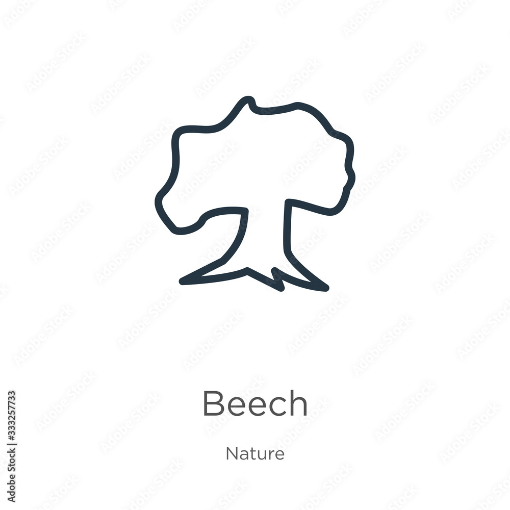 Beech Symbol