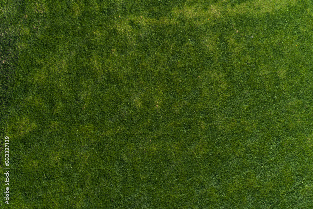 Textura de hierba Stock Photo | Adobe Stock