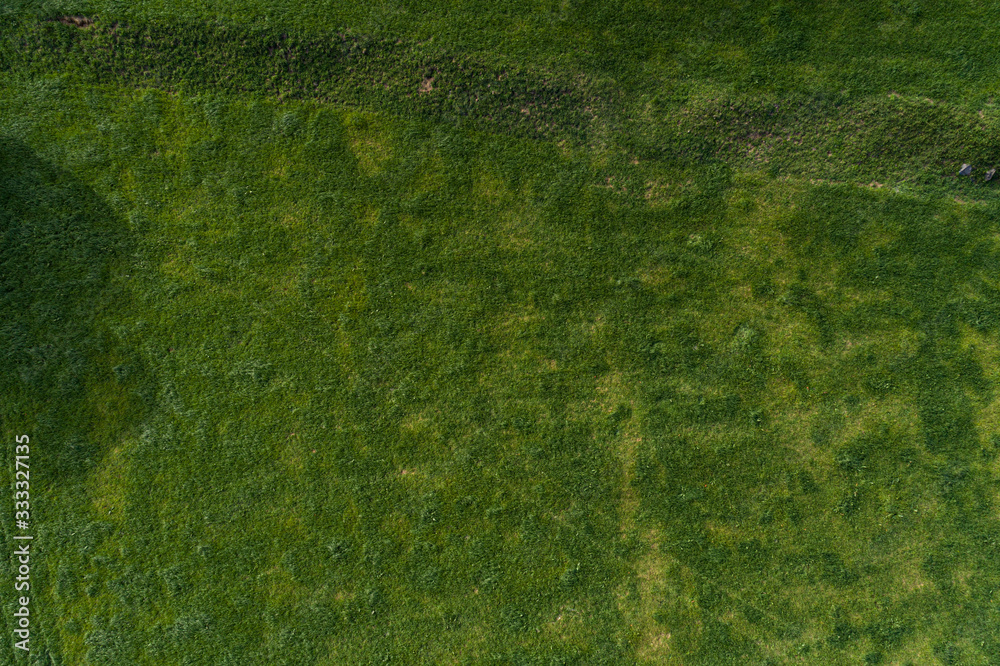 Textura de hierba Stock Photo | Adobe Stock