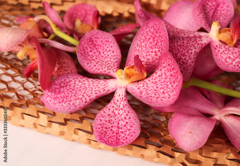 Pink orchids on brown paper texture. Stock Photo | Adobe Stock