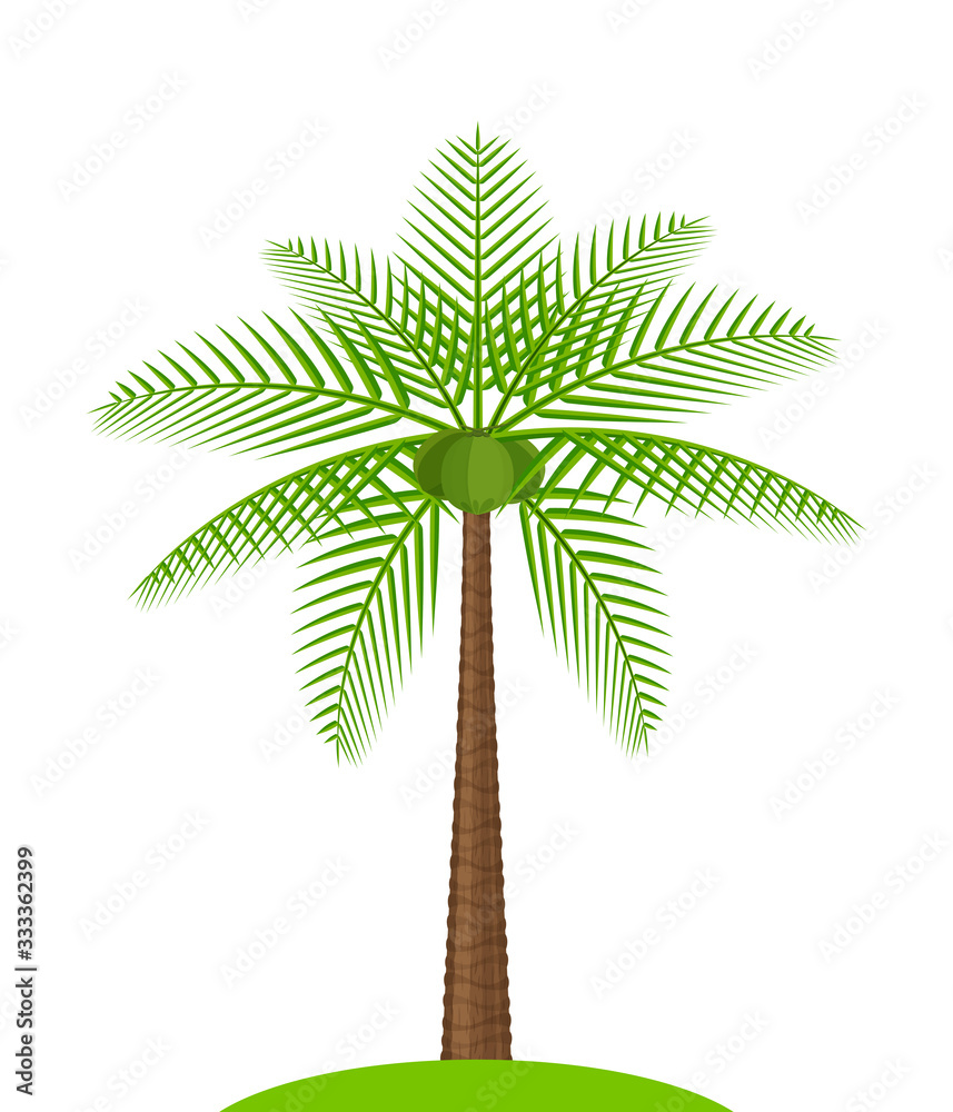 coconut tree simple isolated on white, illustration coconut palm tree ...