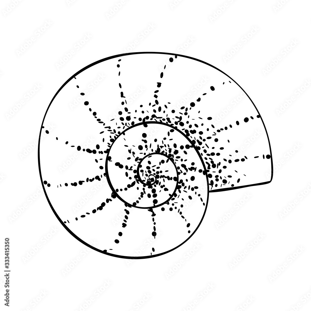 Sea spiral shell in a simple style, isolated vector on white background ...