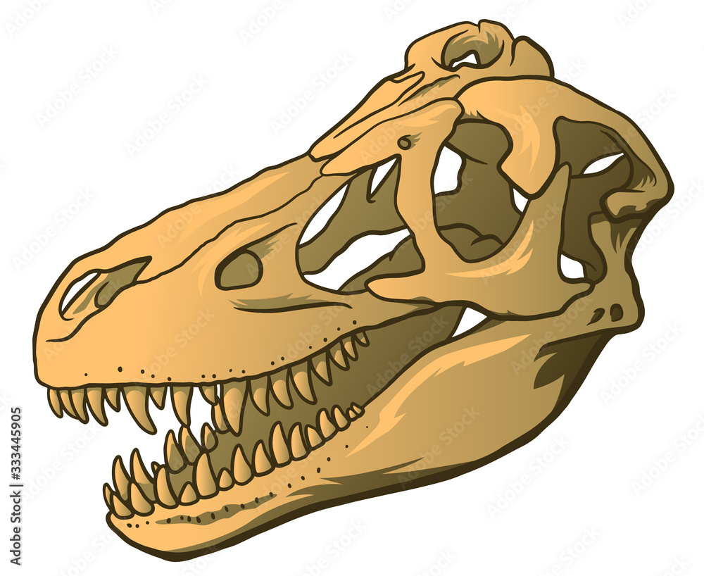 Hand Drawn Cartoon Illustration of Dinosaur Skull isolated on white ...