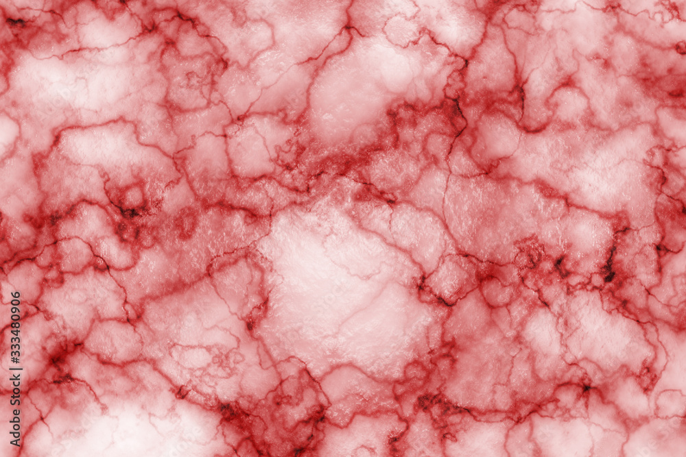 Texture of a blood vessel. Stock Photo | Adobe Stock