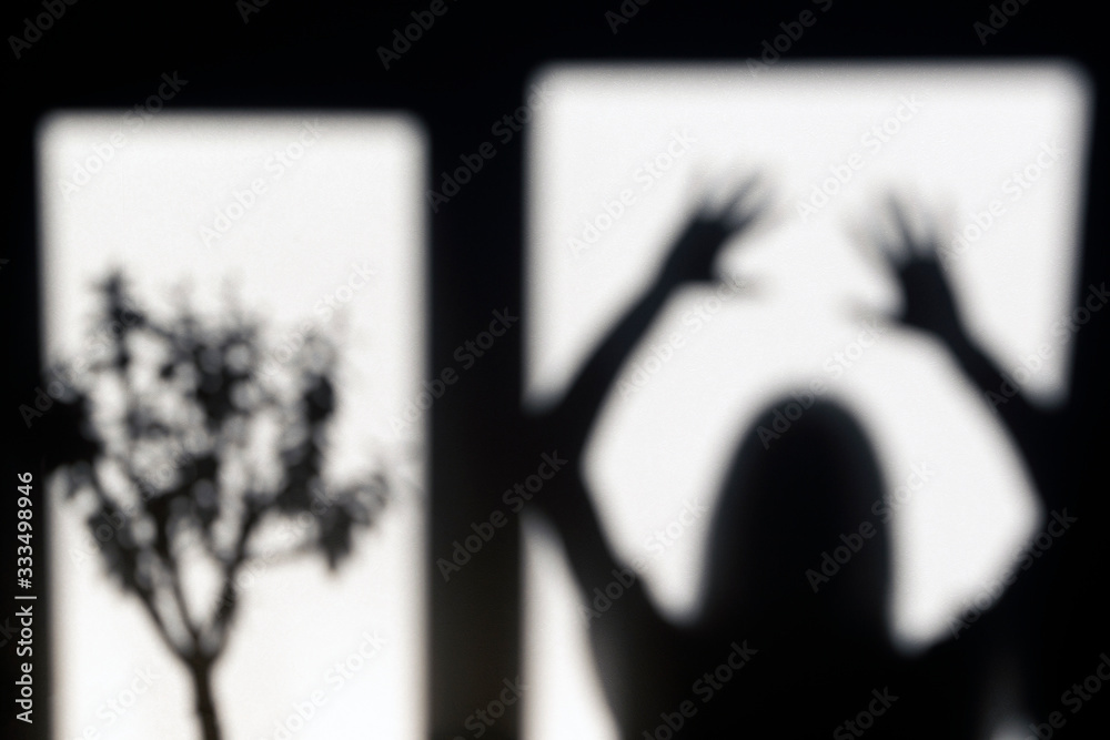 Shadow of girl in the window with houseplants. Scary silhouette of ...