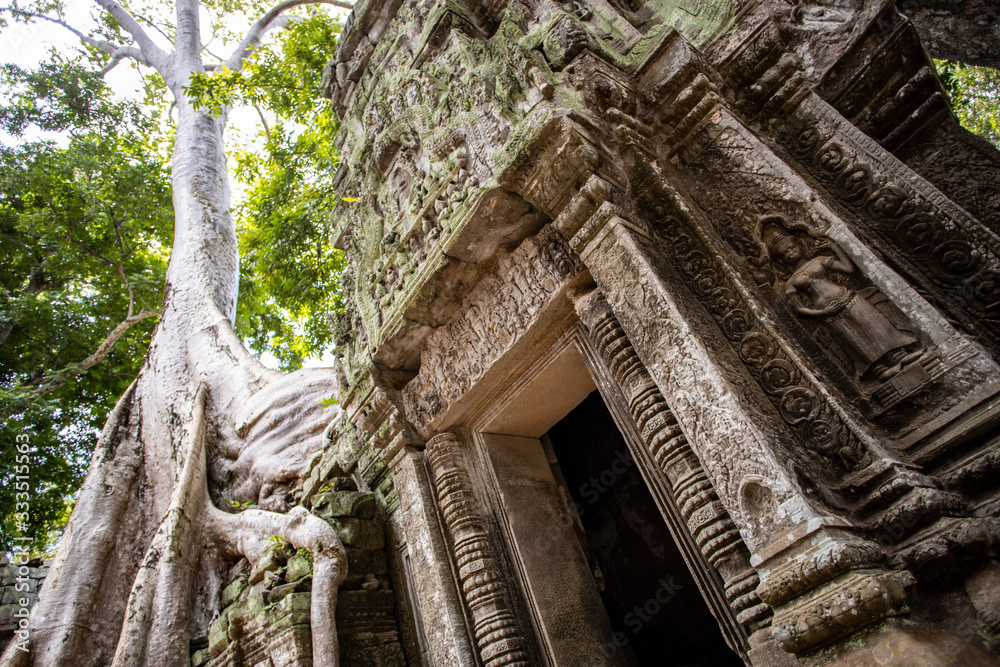 Inside Ta Prohm temple in Cambodia Stock Photo | Adobe Stock