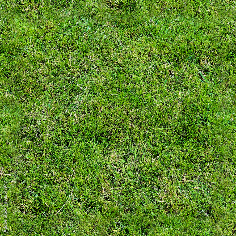 High resolution foto realistic seamless texture of green grass and ...