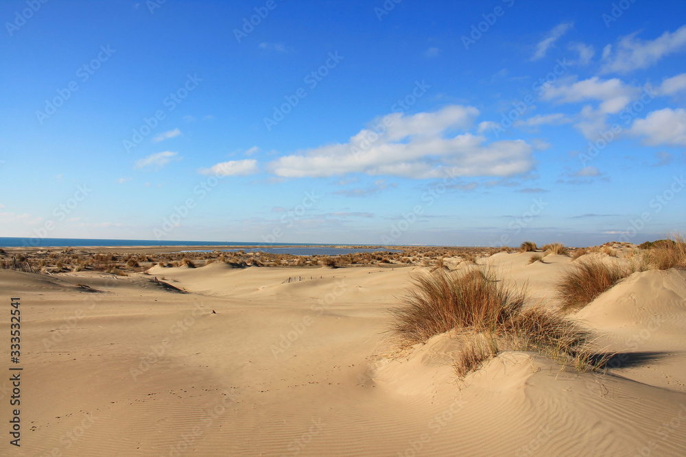 The famous Espiguette beach, a beautiful sandy beach in Camargue ...