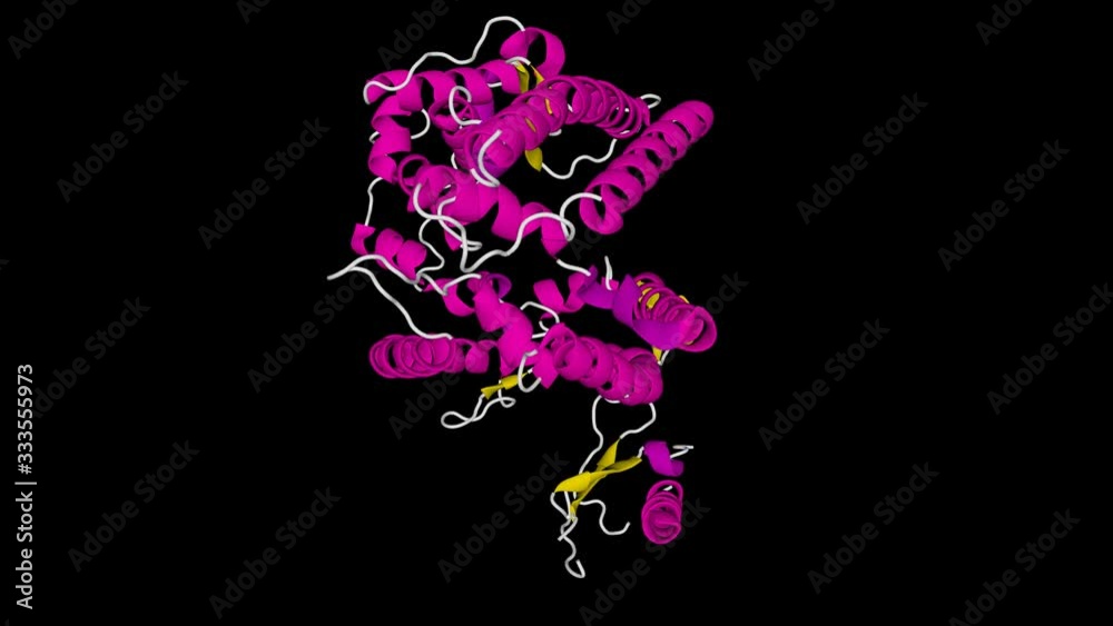 Vidéo Stock ACE2 (Angiotensin converting enzyme 2) Human cartoon model ...