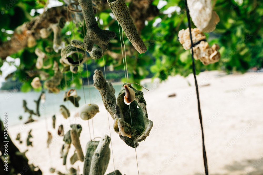 Coral hanging a tree on the beach at against beautiful nature of Nipah ...