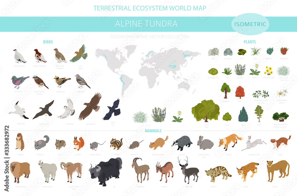 Terrestrial Ecosystem For Kids