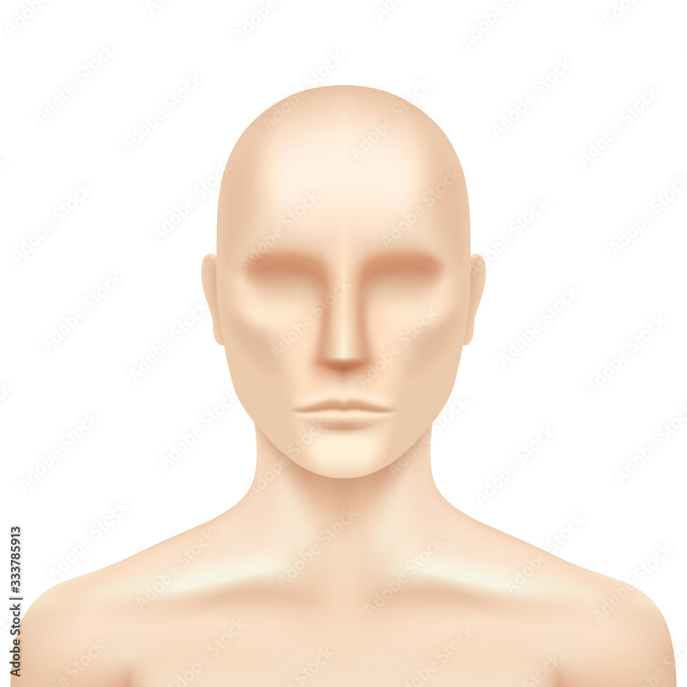 Vector human model isolated o a white background. Plastic dummy torso ...