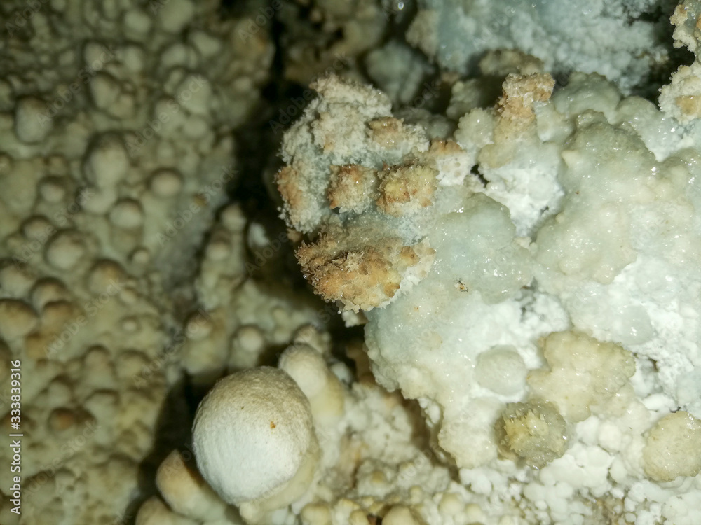 formaciones geológicas en una gruta o caverna Stock Photo | Adobe Stock