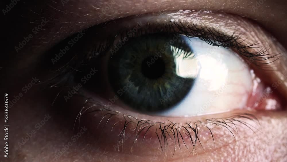 Vidéo Stock Close up macro shots of blue - green - yellowish eye ...