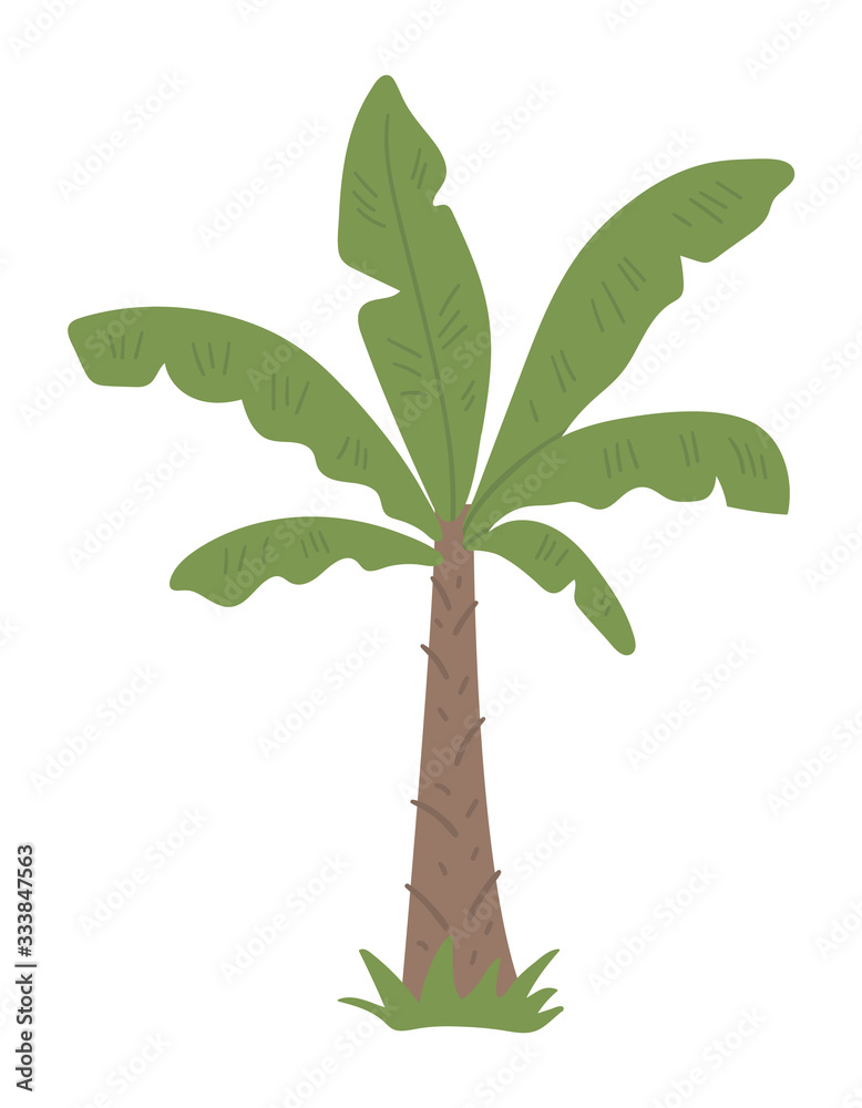 Vector tropical palm tree clip art. Jungle foliage illustration. Hand ...