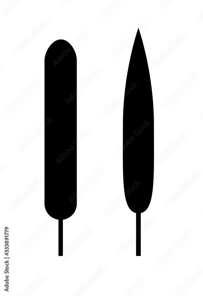 leaf silhouette vector. Black shape with linear and subulate Leaf shape ...