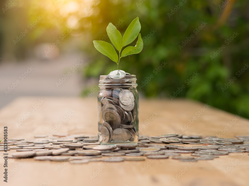Saving money by hand puting coins in jug glass on nature background ...