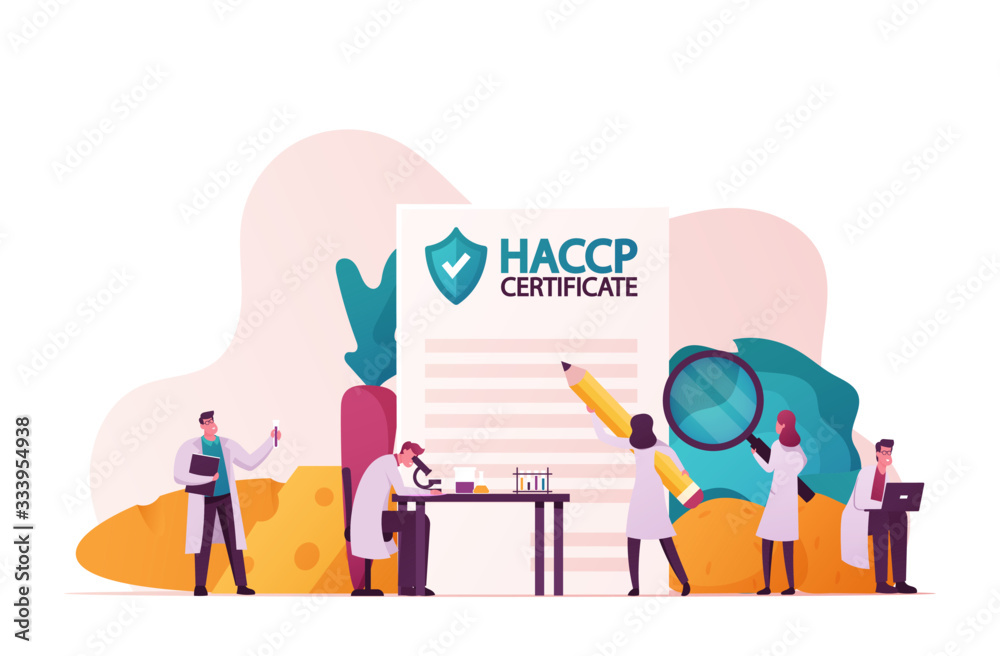 Haccp Hazard Analysis and Critical Control Point. Standard and ...