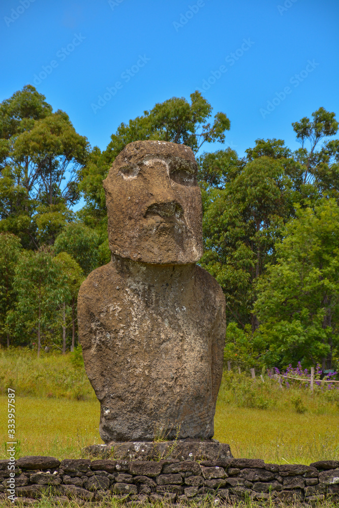 Detail of Ahu Akivi Easter Island Moai up close Stock Photo | Adobe Stock