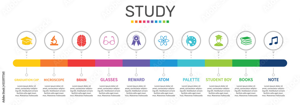 Study Infographics vector design. Timeline concept include graduation ...