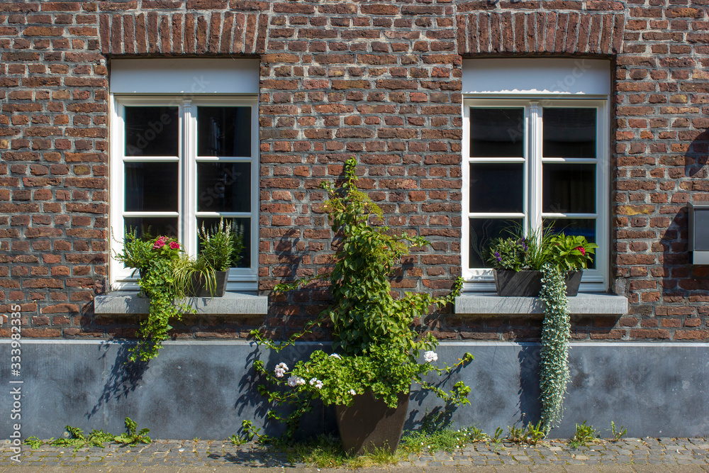 Old German house with white windows and flower pots Stock Photo | Adobe ...