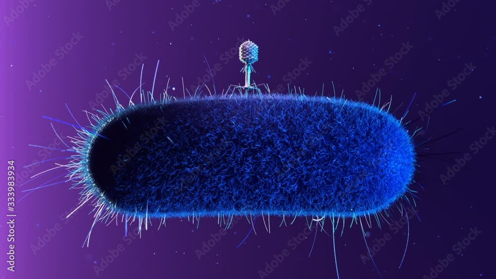 One bacteriophage T4 infecting E-Coli bacterium. Disease, medicine ...