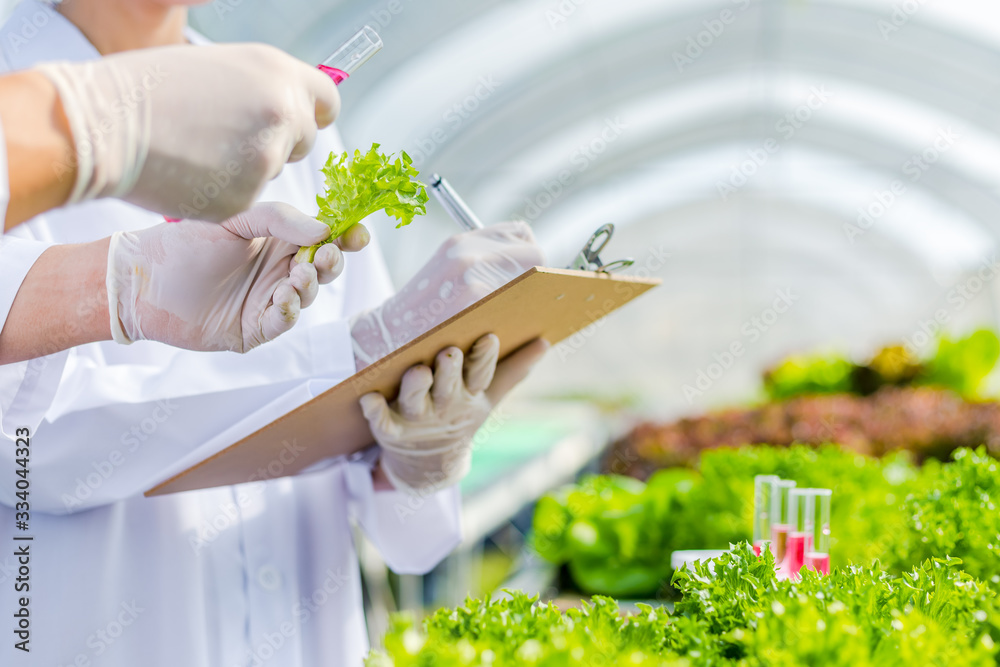 Scientists test the solution, Chemical inspection, Check freshness at ...