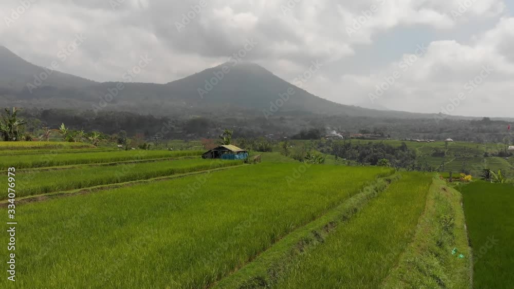 Volcanoes tower over the sloped and terraced fields and rice paddies of ...