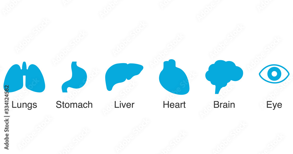 Blue human organs icon set. Lungs, stomach, liver, heart, brain and eye ...