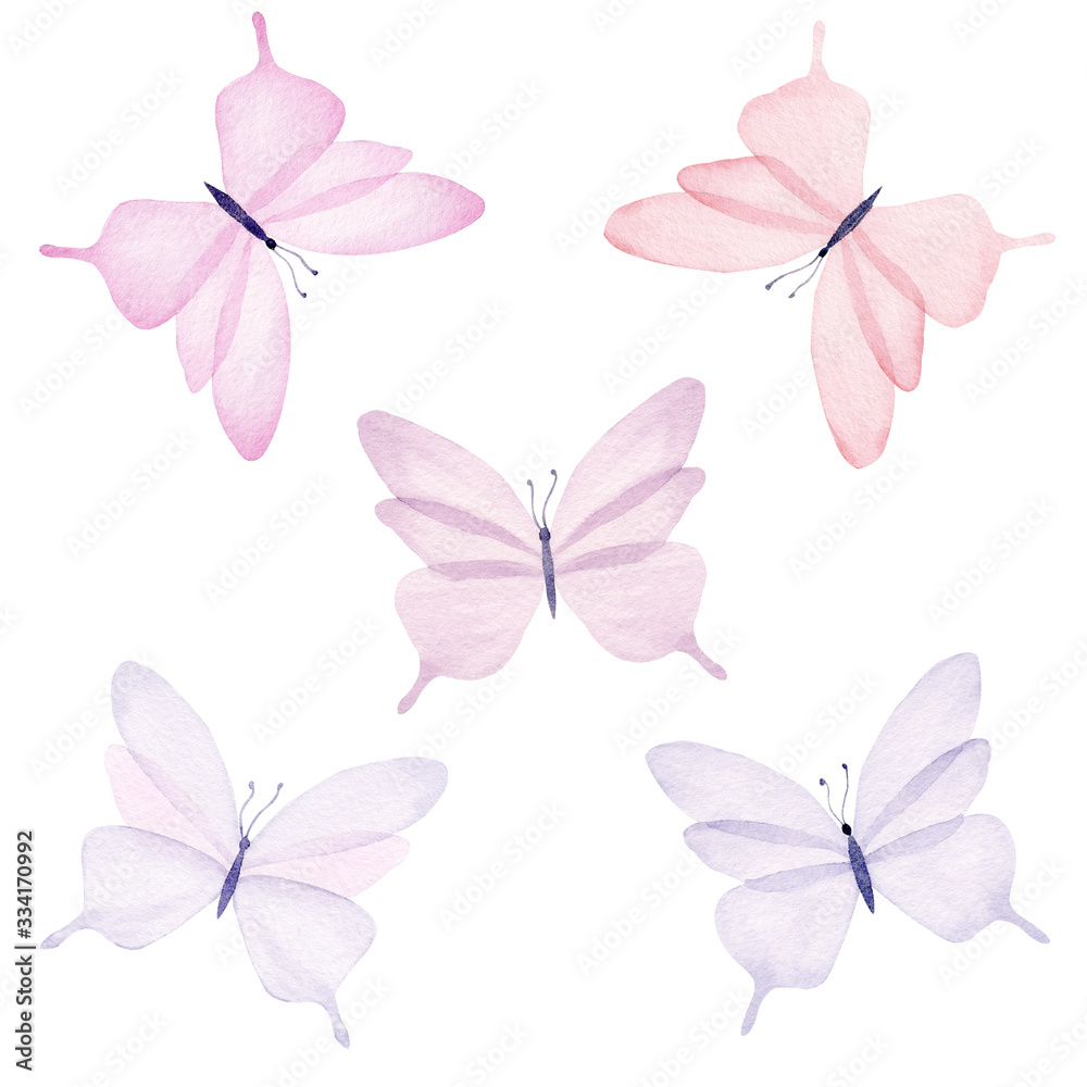 Watercolor pastel color butterflies, isolated on white background. Hand ...