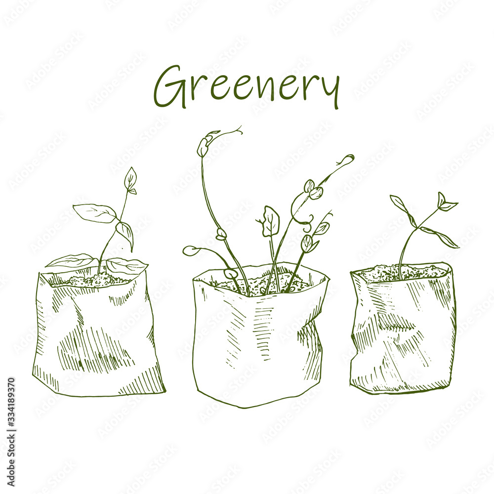 Plants leaf garden sketch drawing isolated vector set of illustrations ...