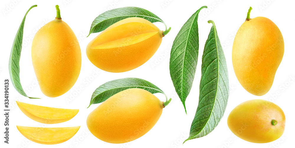 Isolated mango collection. Thai yellow mango fruits of different shapes ...